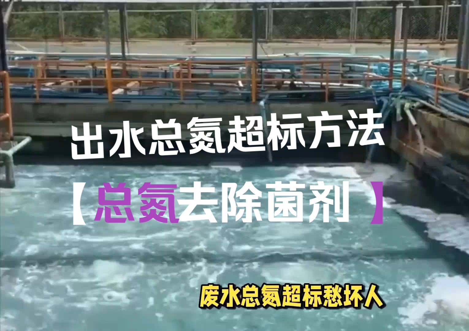 出水总氮超标的处理方法,使用总氮去除菌剂