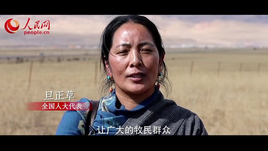我是人大代表,我为人民履职