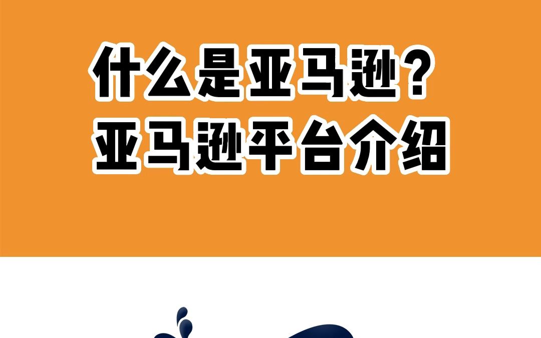 什么是亚马逊?亚马逊平台介绍