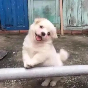 -天晴吖- 