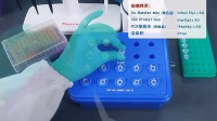 实时荧光定量PCR_高清