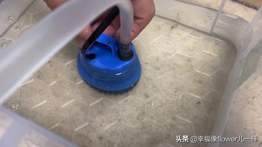 为了让龟ߐ�活的更久,网购一个小水泵,自制龟池过滤器߉�️
