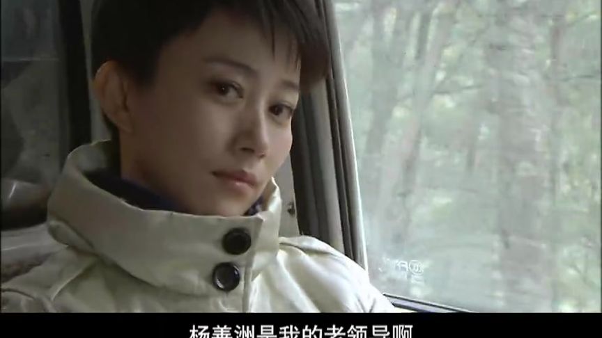 杨善洲:老书记开荒山种树苗都不准副省长用公车,还得检查发票