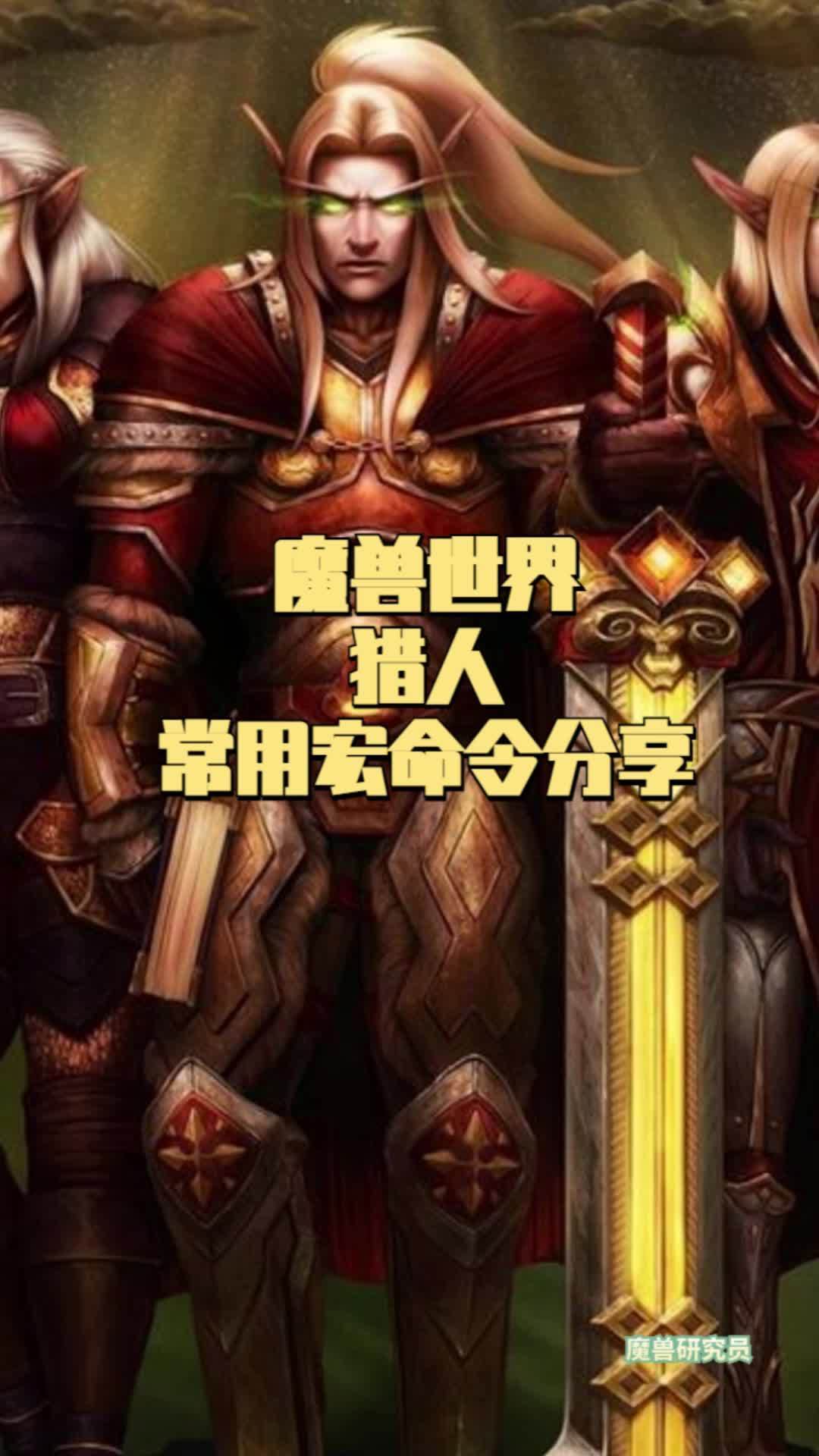 《魔兽世界》猎人必备!高效实用宏命令大全
