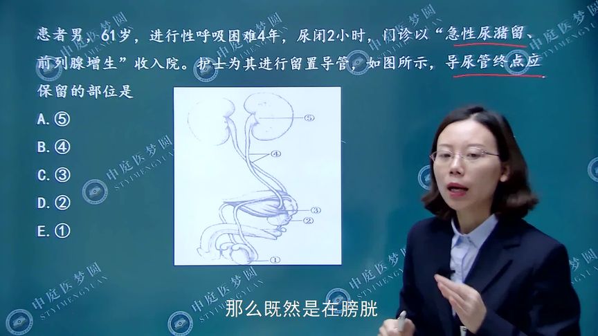 .如图所示,导尿管的终点应该保留在什么部位?