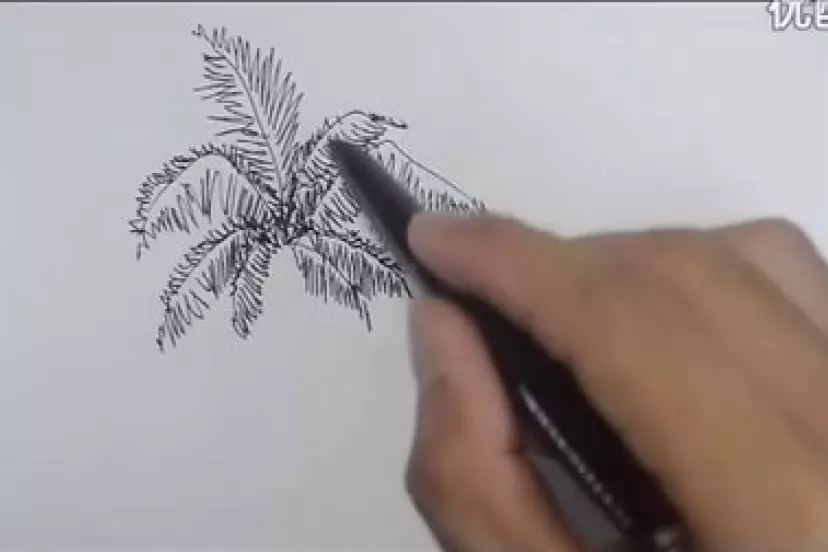 单体树的画法3 福州海派手绘 手绘教程 钢笔画 马克笔线稿 马克笔上色