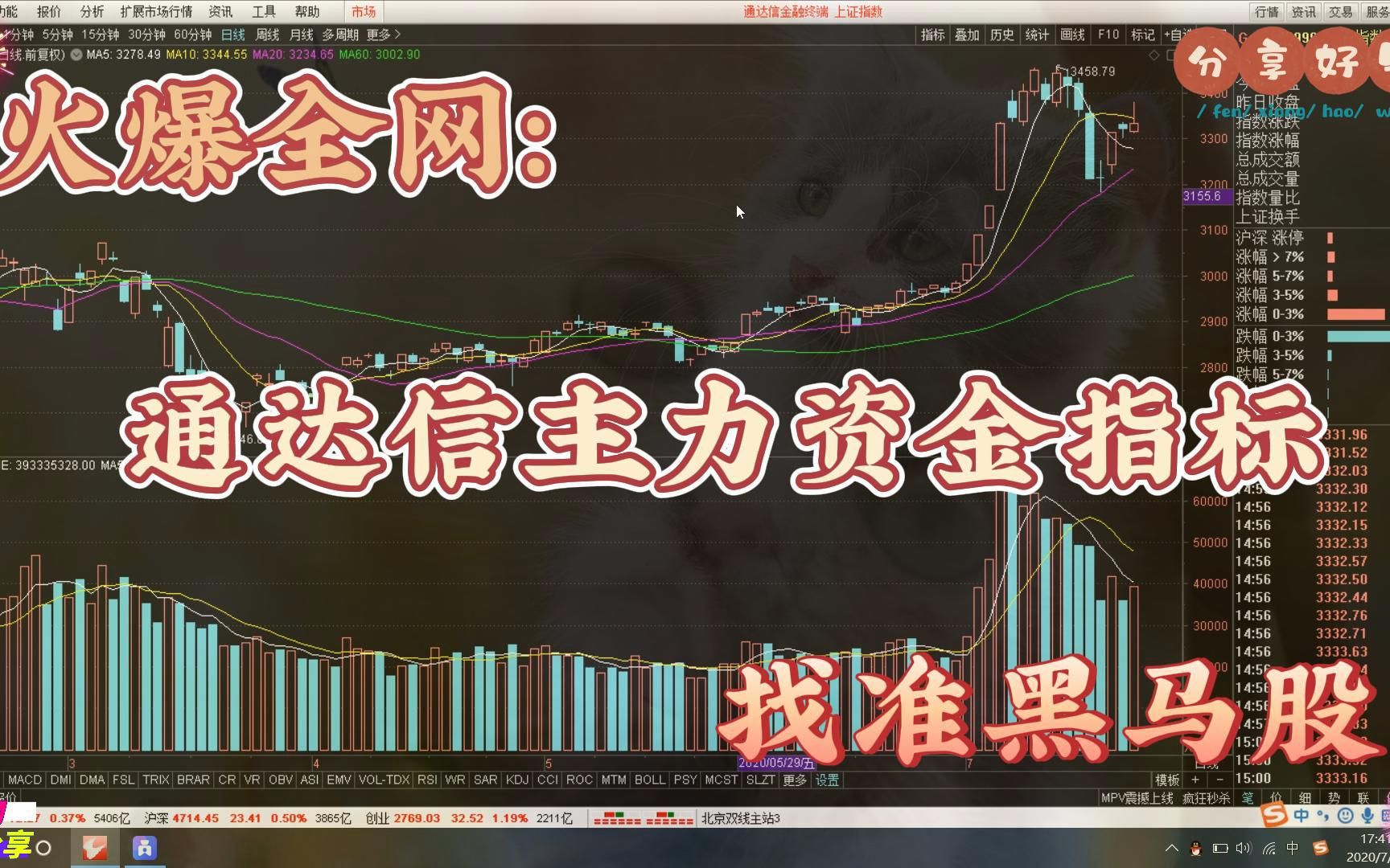 火爆全网:通达信主力资金指标,如何快速判断一只股票也没有主力资金...