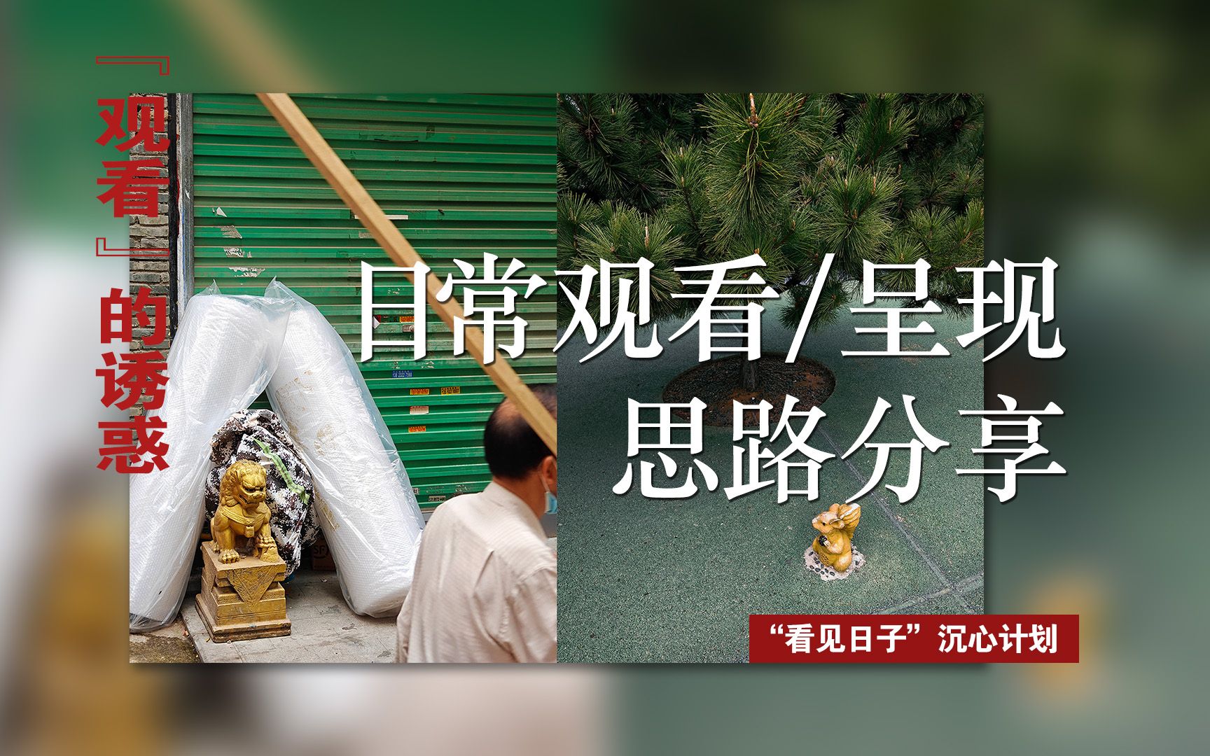 观看的诱惑|分享最近几个有意思的观看