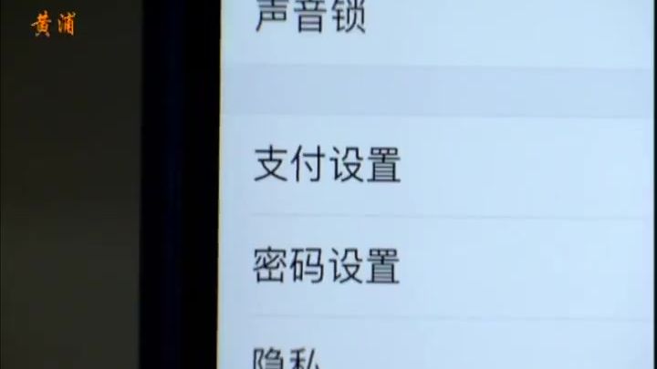 手机付款很方便 设置“免密支付”需谨慎!别再不小心划出14万!