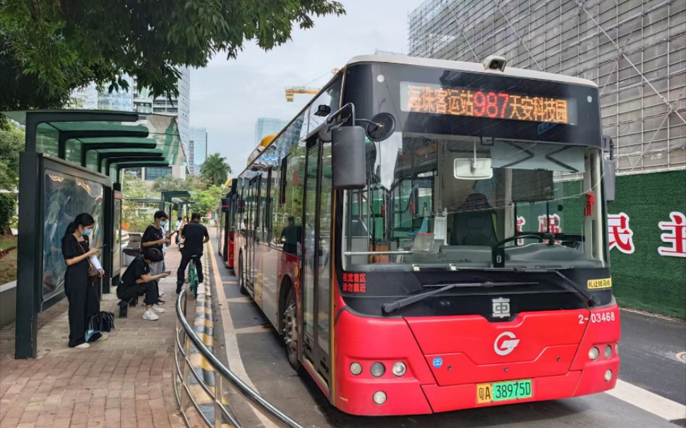 【番禺CBD往返海珠区大客流通勤线】B站#我嘅巴迷岁月#450 广州...