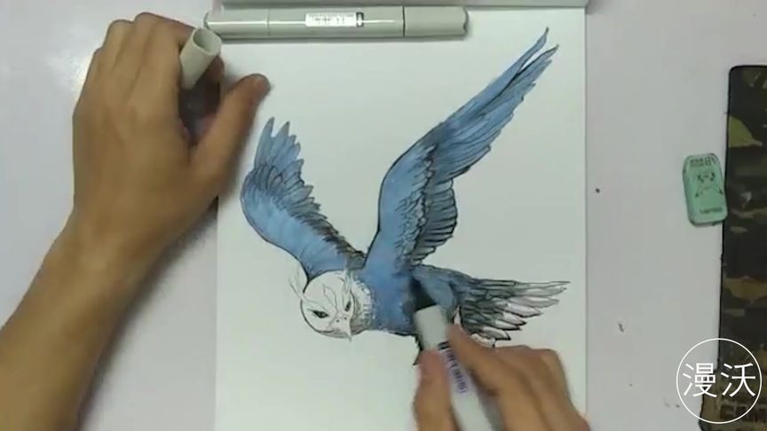 手绘日常:山海经鶌鶋绘画上色过程
