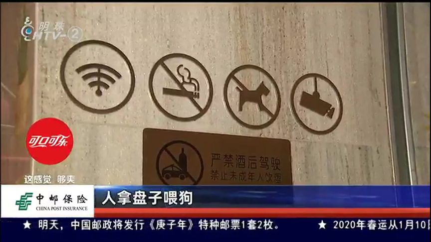 海底捞吃饭,顾客带导盲犬被拒,工作人员表示客人有专人照顾