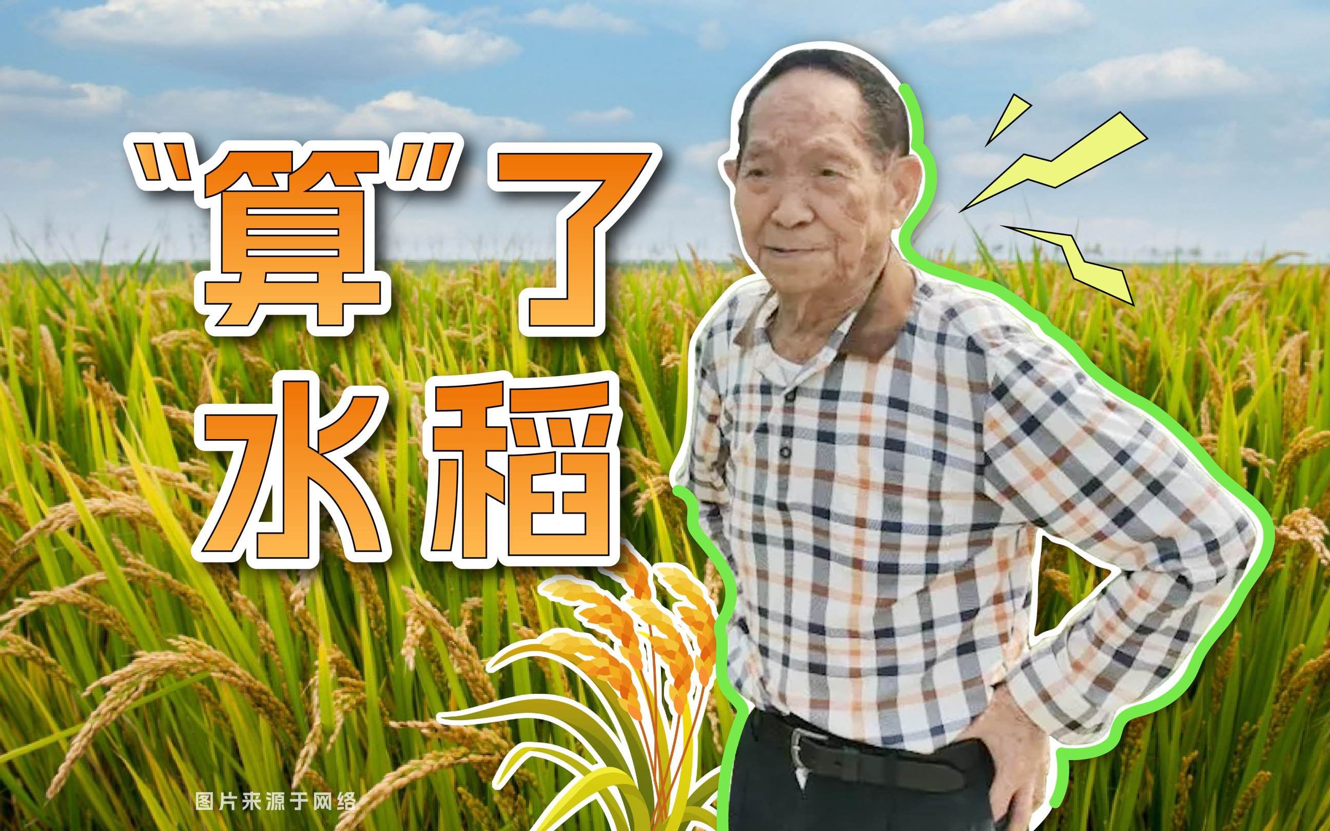 给袁隆平一台超级计算机,超级水稻会变成啥样?