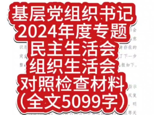 基层党组织书记2024年度专题民主生活会、组织生活会对照检查材料(...