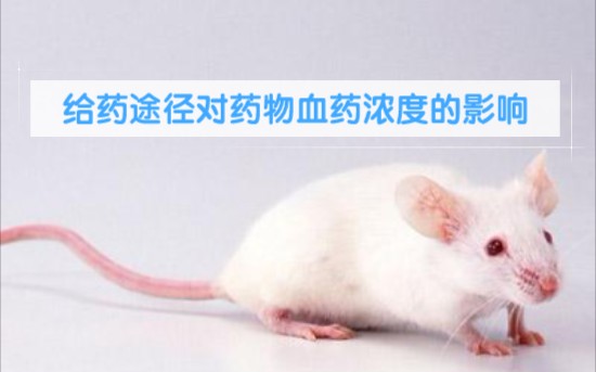 VBL-100医学机能虚拟实验室(药理实验室):给药途径对药物血药浓度的...