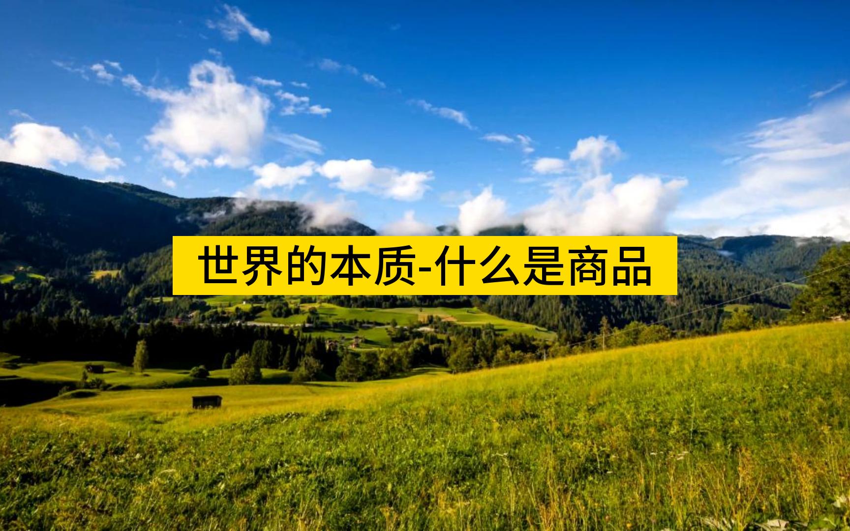 商品-【世界的本质】-(资本重构)如果你也曾和我一样怀疑世界