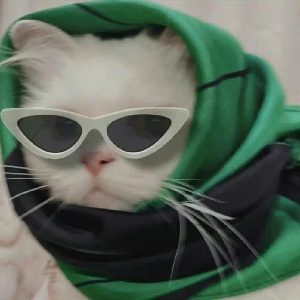 糯糯小云 