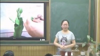 [配课件教案]1.初中综合实践《3.做个养绿护绿小能手》全国一等奖