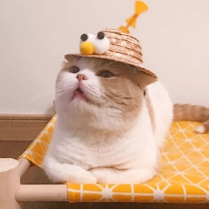 落瓣樱澜 