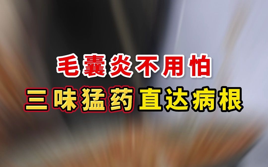 毛囊炎不用怕,三味猛药直达病根,不收藏损失了!