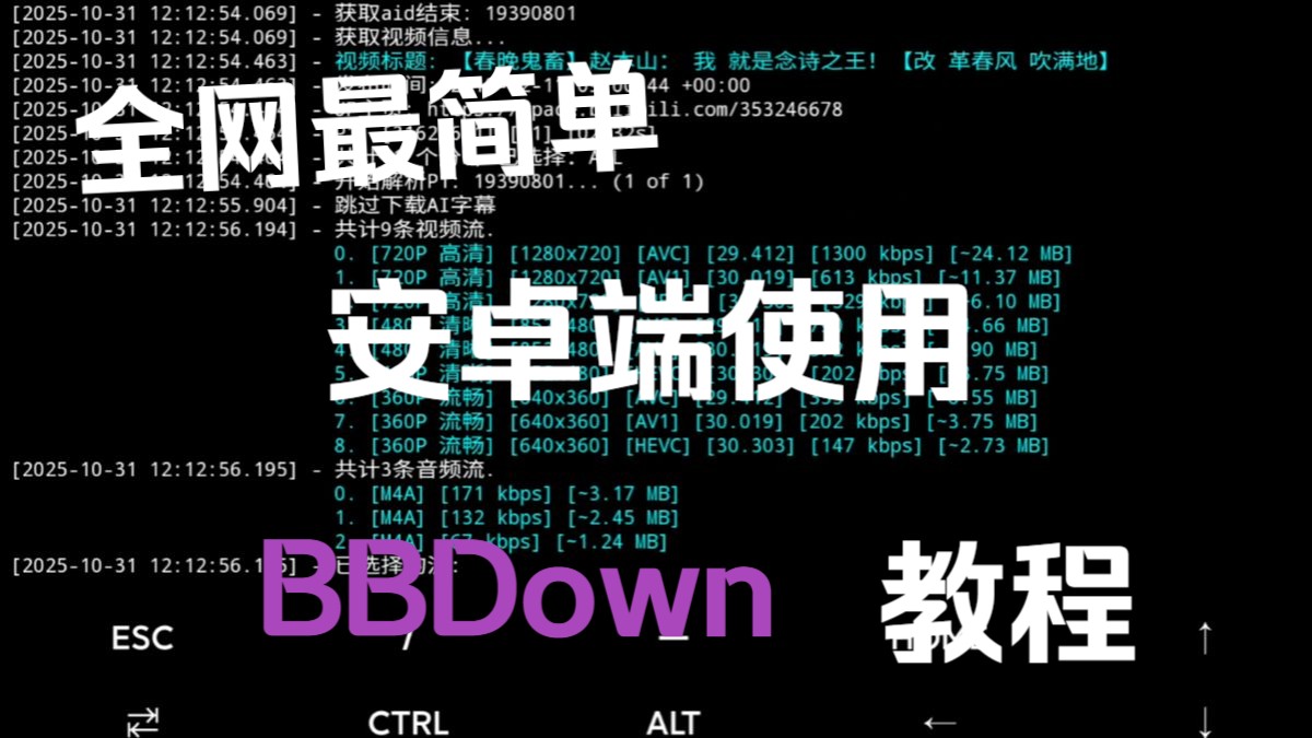 【全网首发】最简单的方法在安卓设备上使用BBDown,无需完整dotnet...