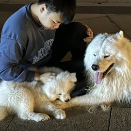 弃儿行 