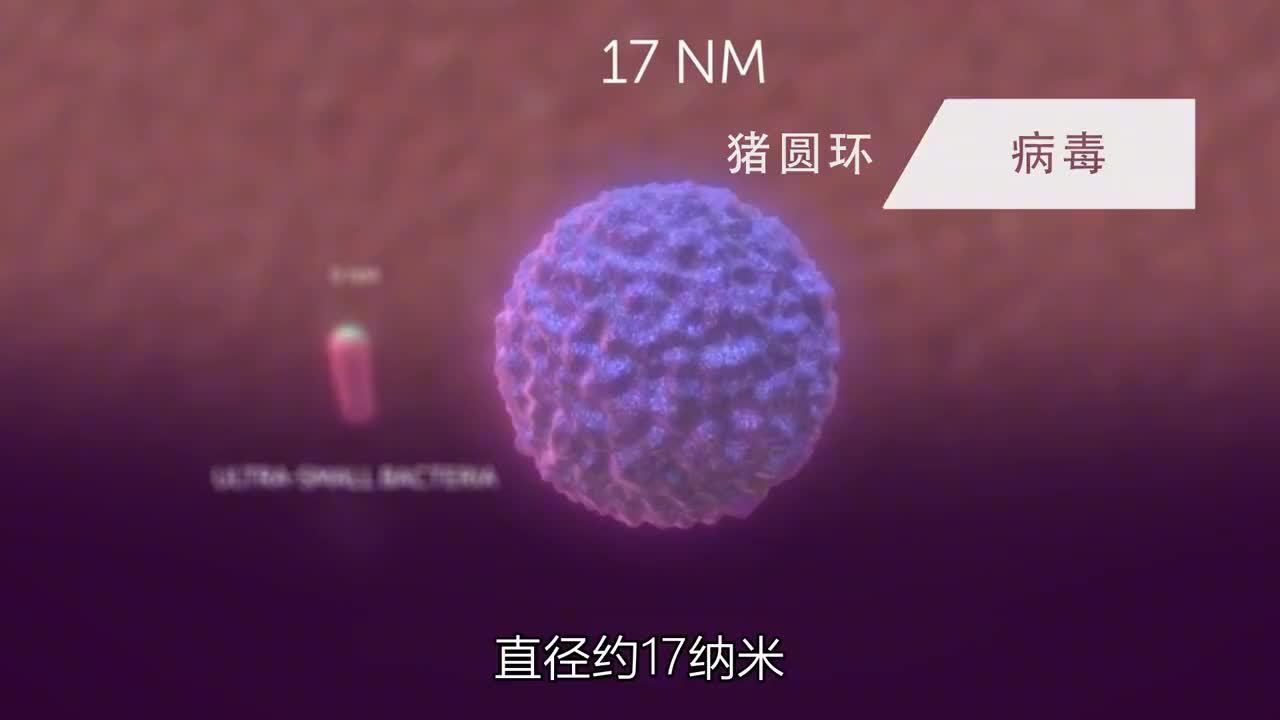 病毒、细菌等微生物