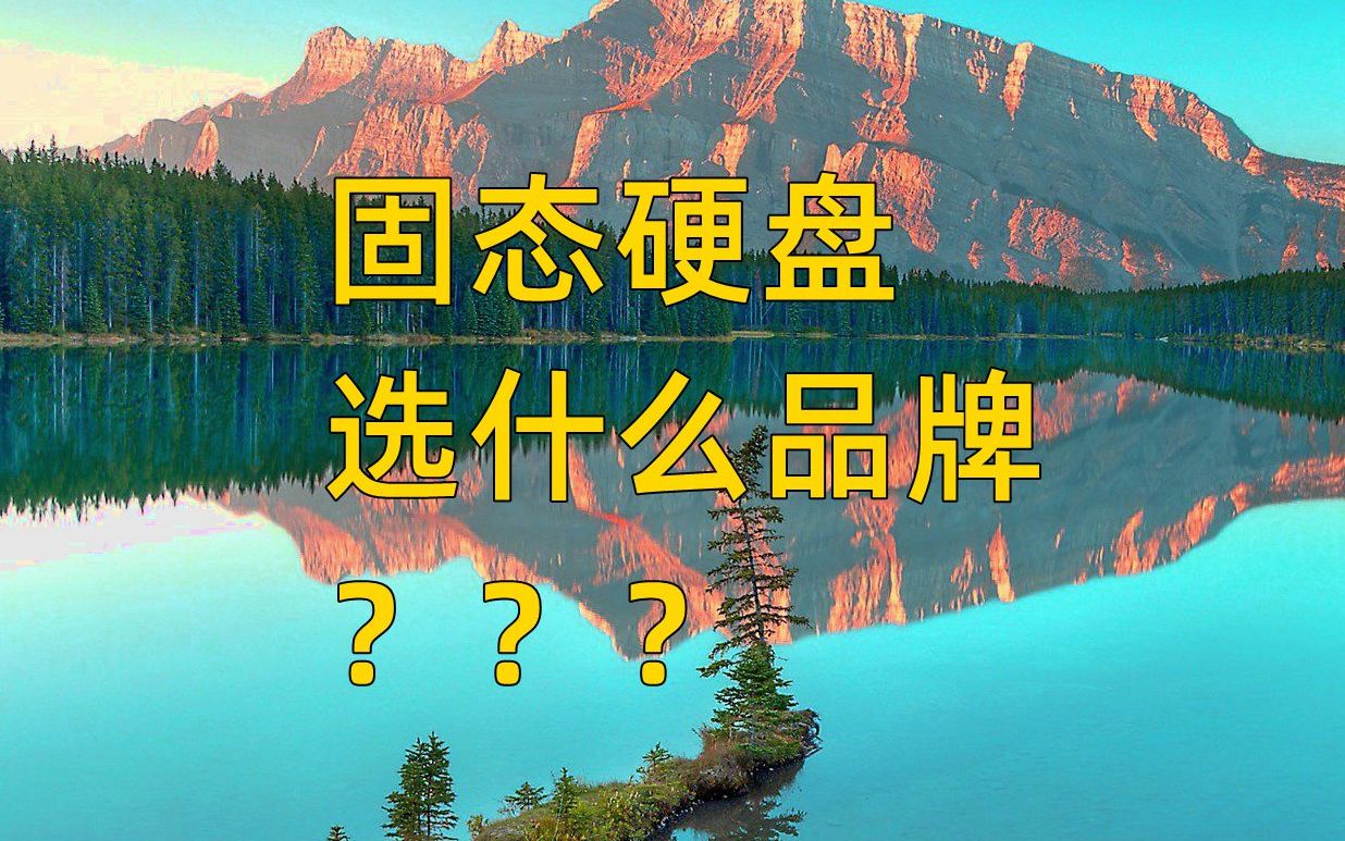 哪个牌子的固态硬盘好?