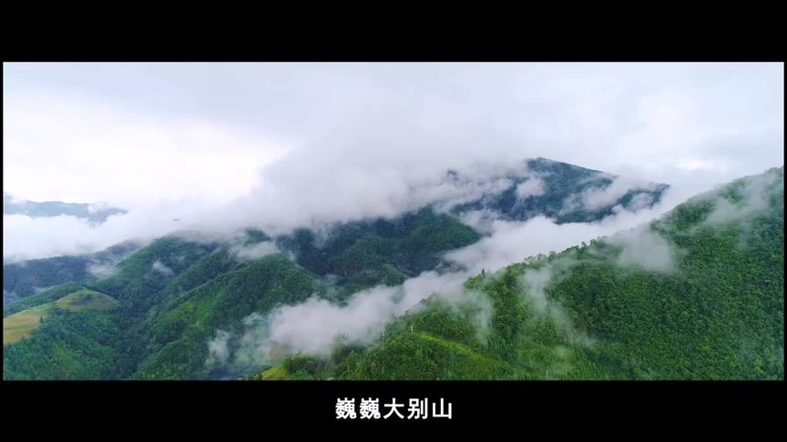 安徽剐酒广告宣传片,大家感受一下#企业宣传片拍摄