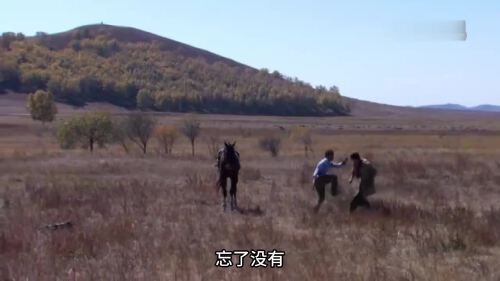 76、病毒在军马场内传播