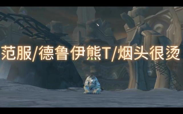 魔兽世界WLK熊T单刷无头