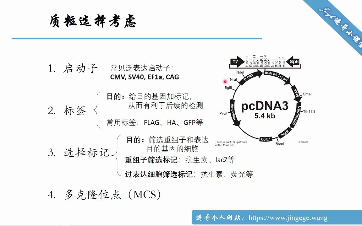 过表达原理及过表达引物设计流程