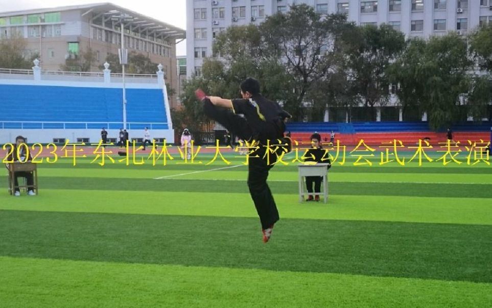 2023年东北林业大学校运动会武术表演
