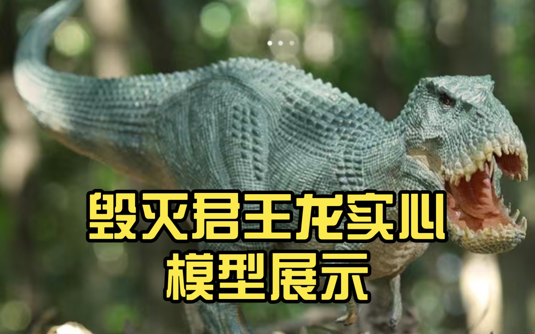 我个人的小众爱好——恐龙