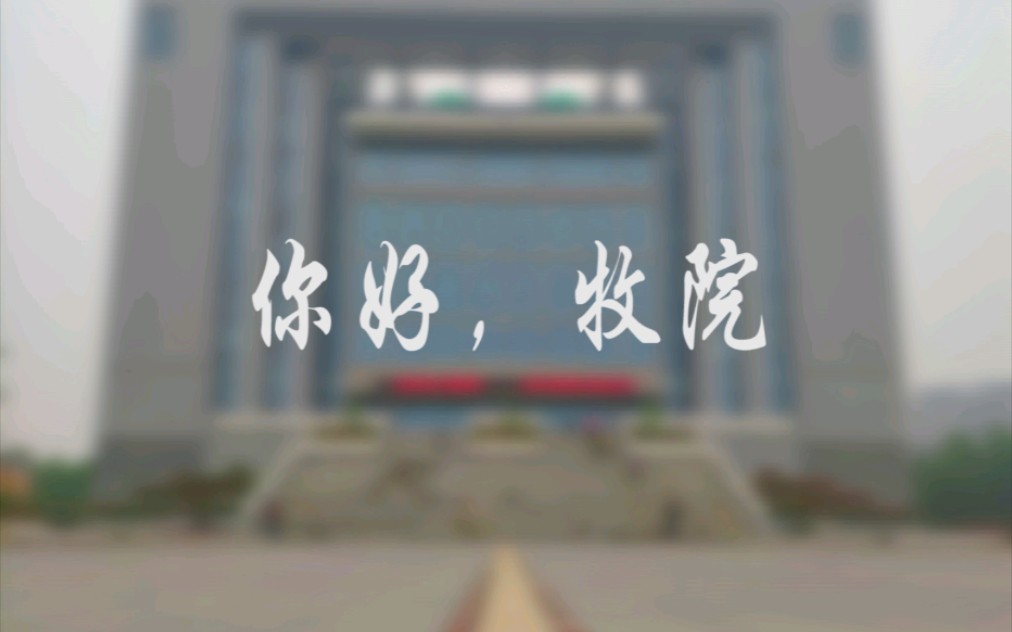 分享下当初制作的校园宣传视频