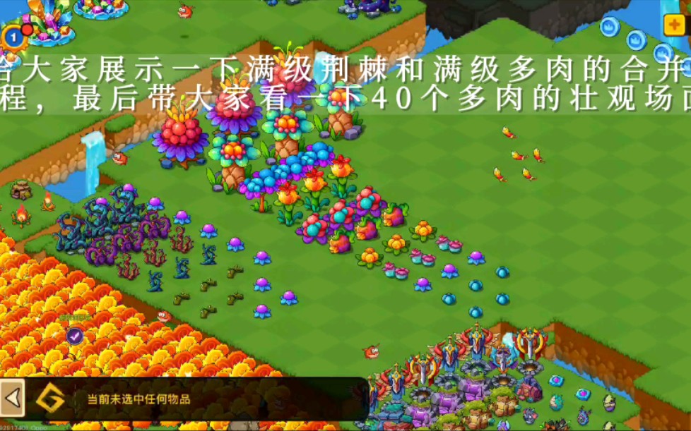 【幻兽爱合成】满级荆棘和多肉的合并过程以及40个多肉的展示