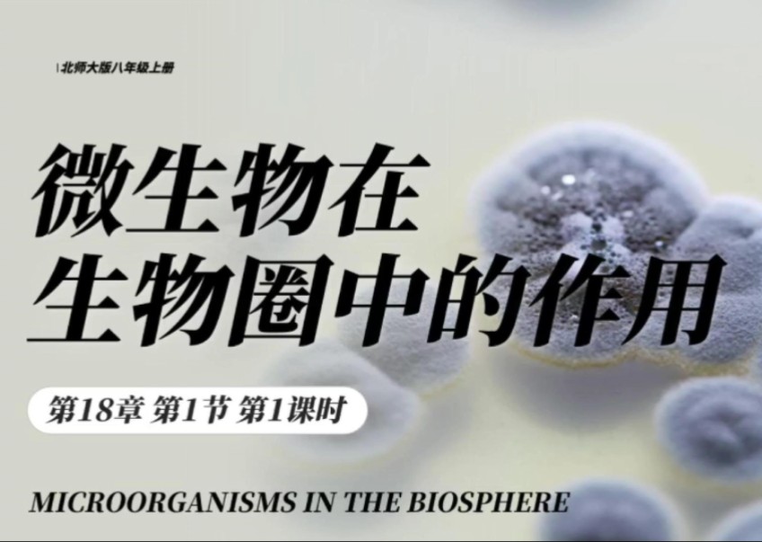 北师大八上《微生物在生物圈中的作用》