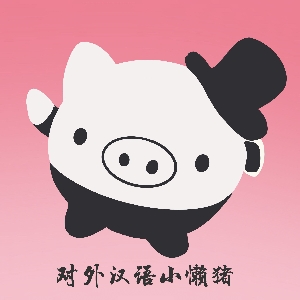 对外汉语小懒猪 