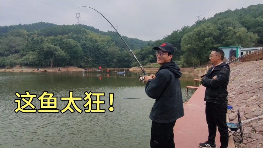 在限杆限线的标鱼塘用上抛竿了,第一次希望上的可不要是标鱼!