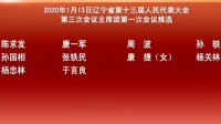 第一时间 辽宁卫视 2020 辽宁省第十三届人民代表大会第三次会议主席...
