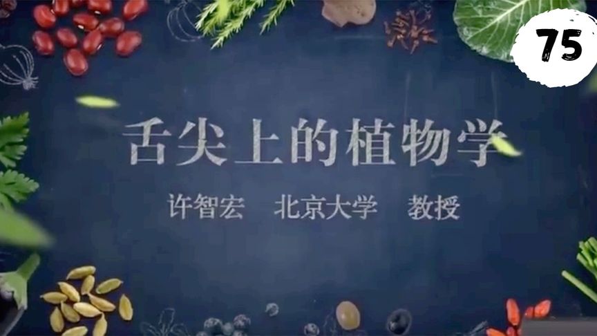 现代农业生物技术(一)-北京大学许智宏-舌尖上的植物学-第75讲