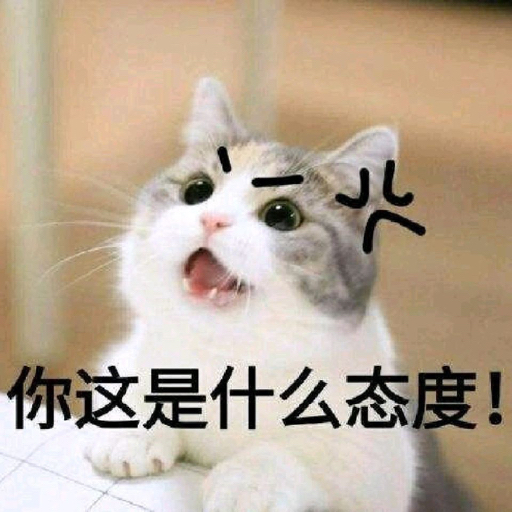 大喵是个好少年 