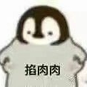 鲤鱼跳跳吖 