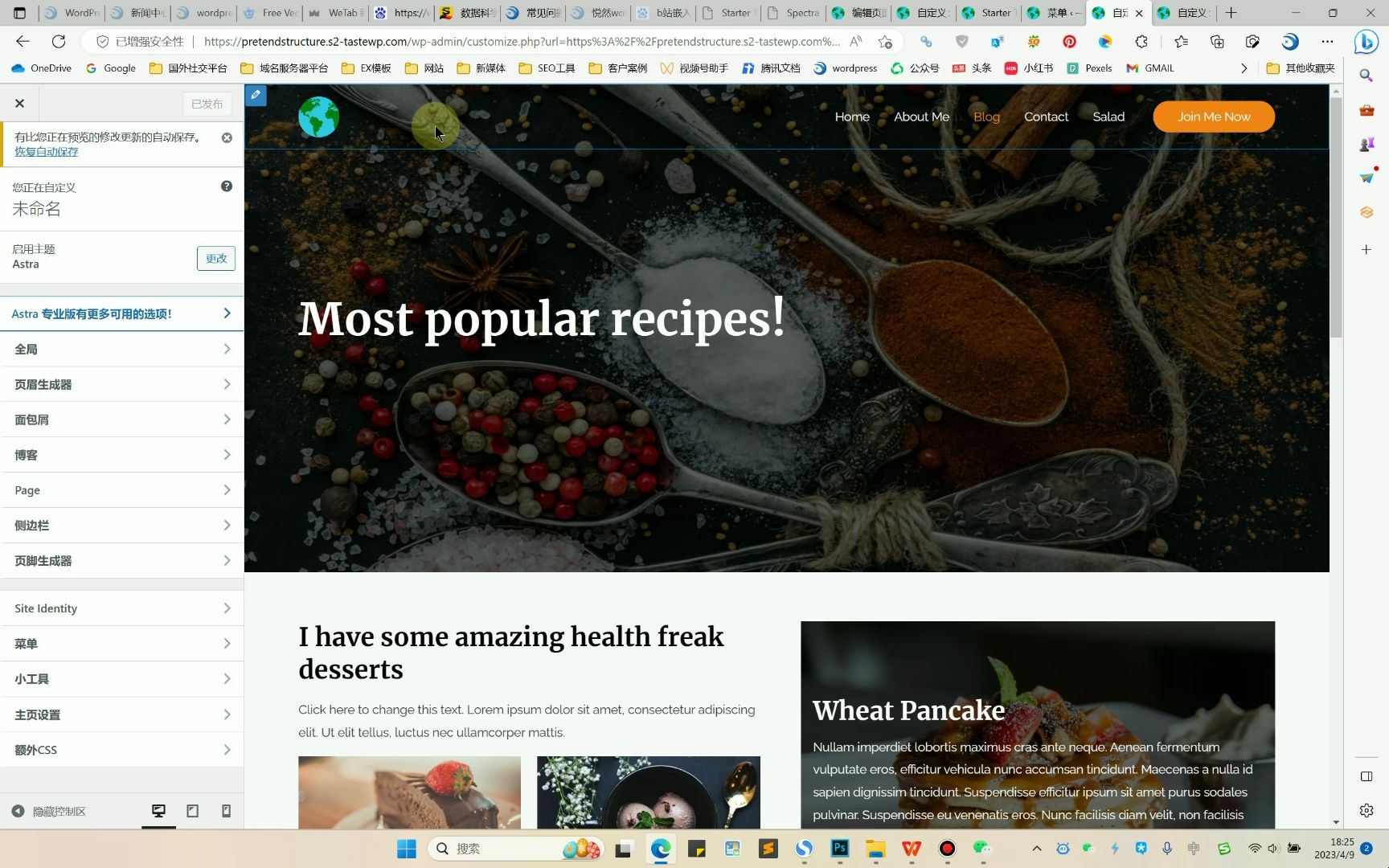 wordpress建站视频教程:ASTRA主题使用教程3 页眉设置