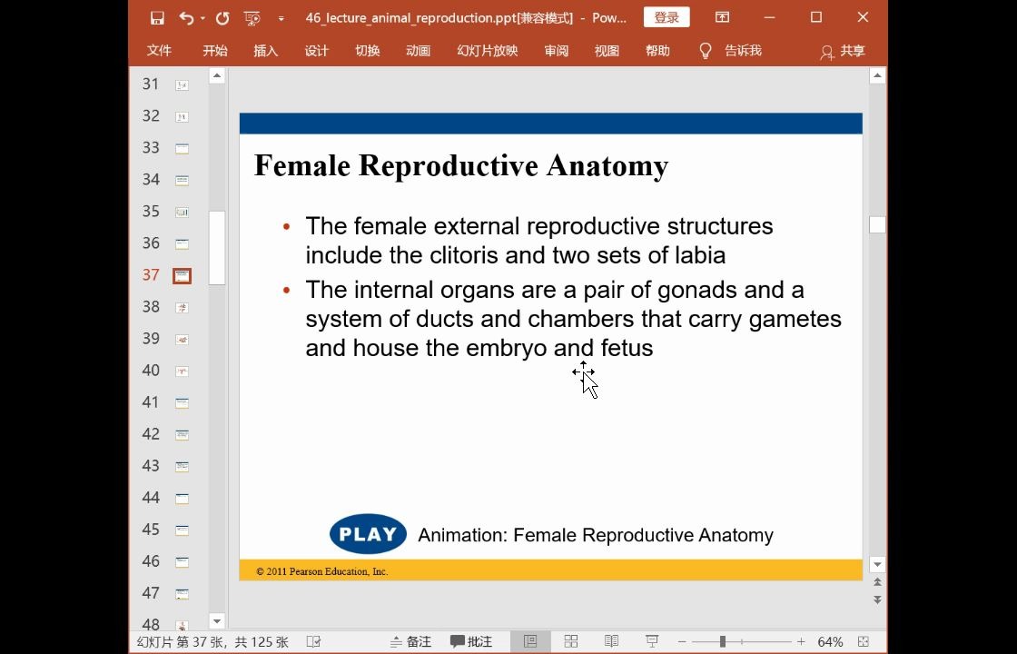 动物生理学之人体生殖系统和过程