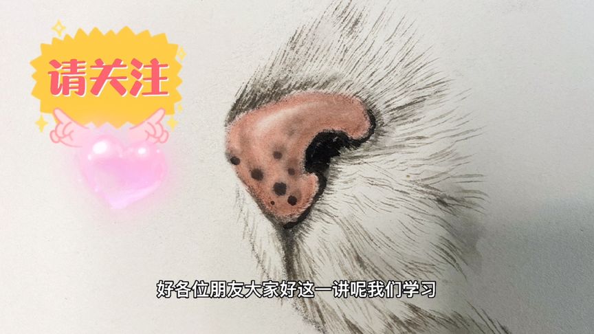喜欢画老虎的朋友请进,简单实用