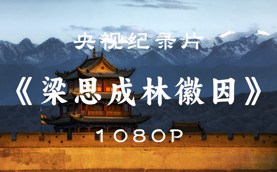 【豆瓣9.5】【央视经典纪录片】《梁思成林徽因》,1080P