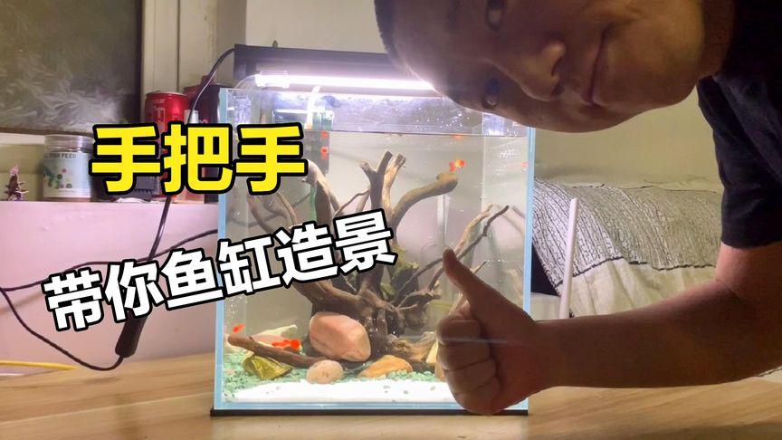 手把手带你进行鱼缸造景,分享造景思路,来看看我造的鱼缸景吧