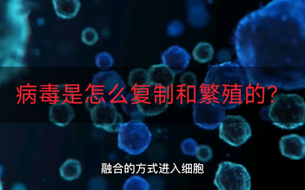病毒是怎么复制和繁殖的?