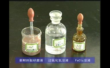 必一P78:比较过氧化氢在不同条件下的分解